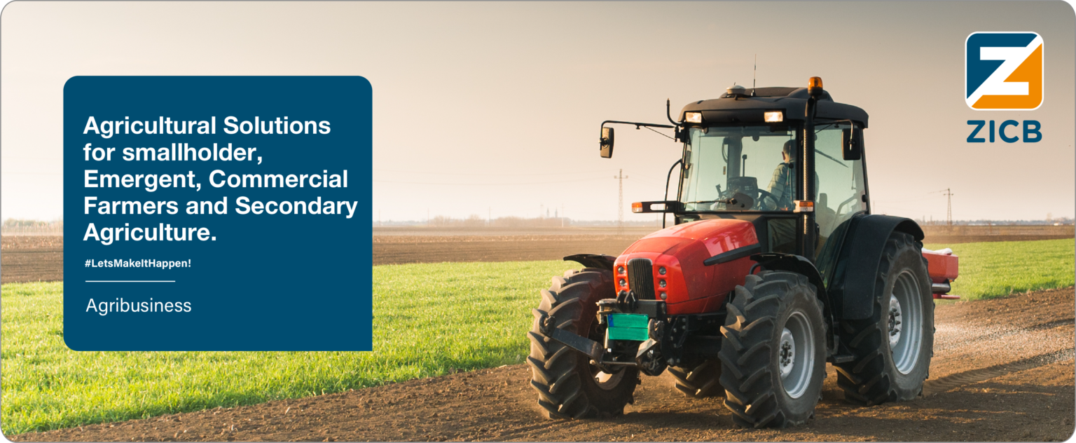 Corporate & Commercial - ZICB