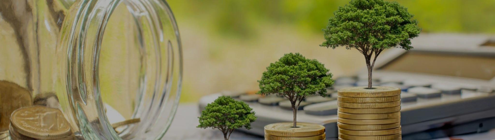 Fixed Deposit Account - Corporate Banking - ZICB